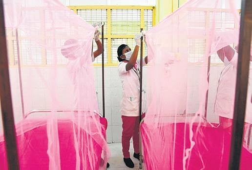 Fever camps to be held in areas with more than three dengue cases