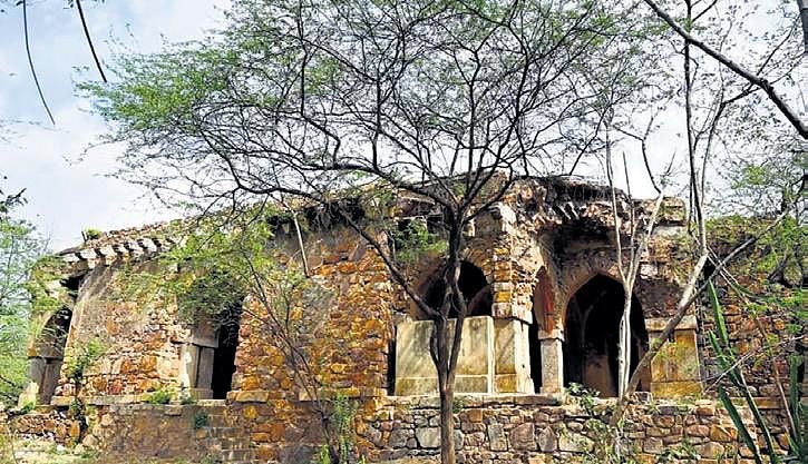 Delhi HC bars all kinds of construction activity inside Central Ridge