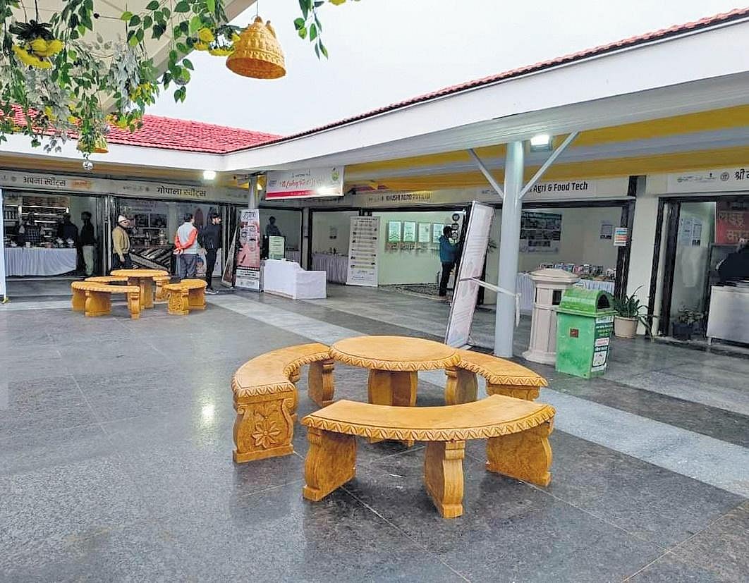 India’s first health food street launched in Ujjain