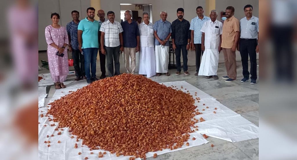 Nutmeg farmers in TN's Pollachi get Rs 75 lakh worth orders