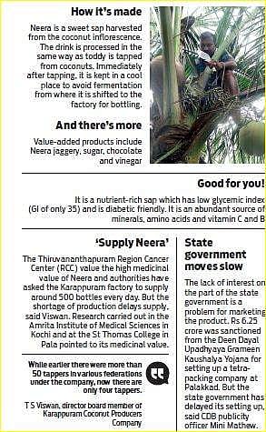 Neera loses fizz; coconut farmers in despair