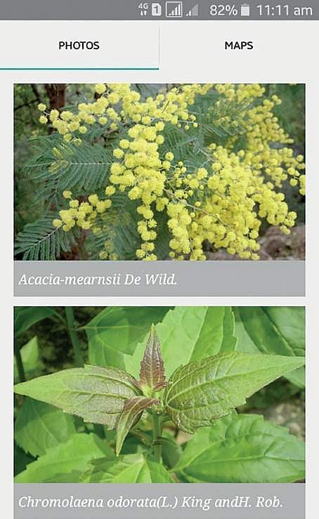 Mapping biodiversity