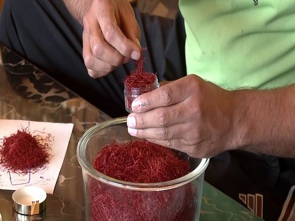 Indoor saffron farming becomes new trend in Bengaluru