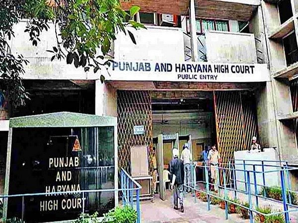 Punjab and Haryana HC dismisses anticipatory bail plea in cow slaughter ...