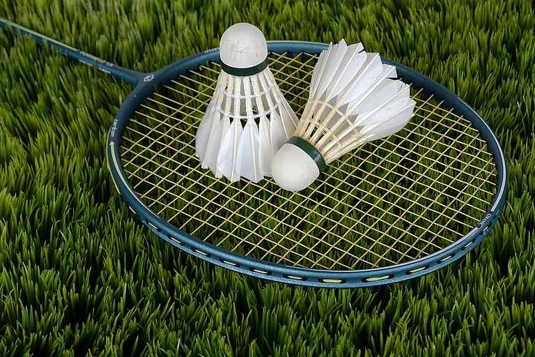 India clinches four medals at Special Olympics Asia Pacific Badminton
