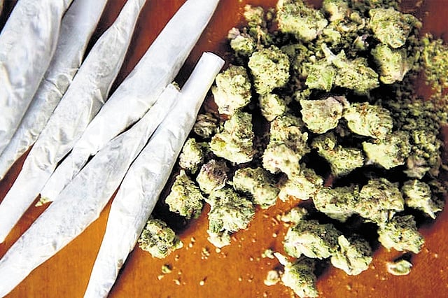 Key ganja supplier among three held in Namakkal; 5.69 kg seized in PEW ...