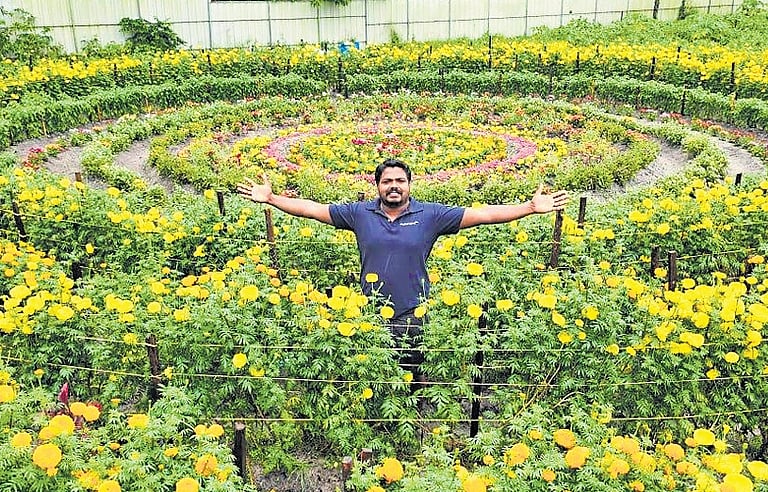 Alappuzha farmer cultivates living ‘pookkalam’, blending Onam tradition ...