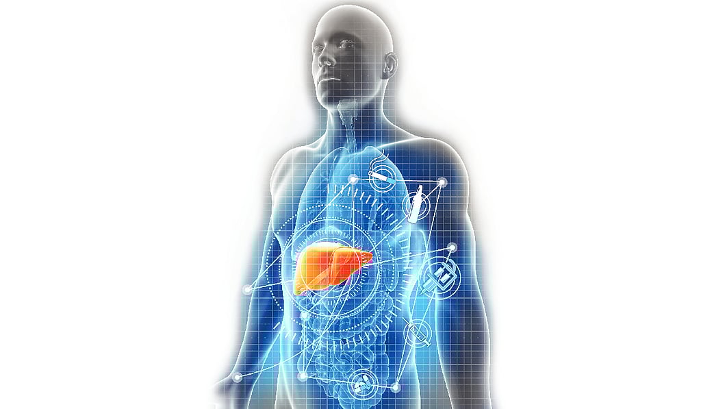 Techie trades in health for taste; gets liver infection after eating ...