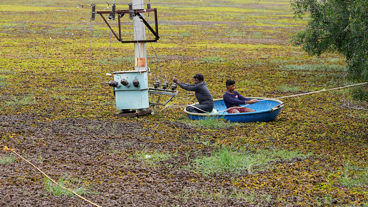 'Critical for water needs': As climate risks grow, Bengaluru is trying ...