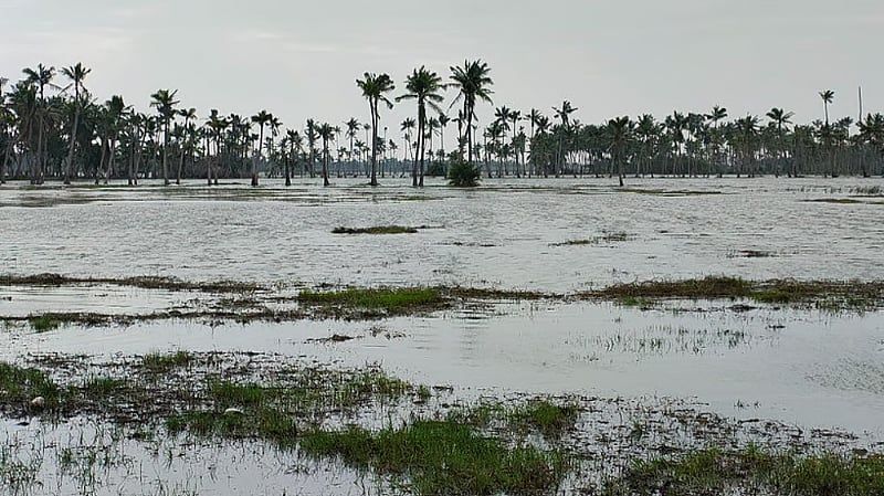 Central team to assess Cyclone Montha damage in Andhra Pradesh