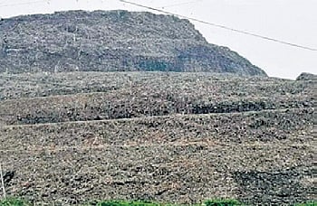 MCD approves four new solid waste processing plants