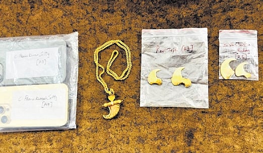 Forest officials bust wildlife crime racket in Andhra's Nandyal; seven ...