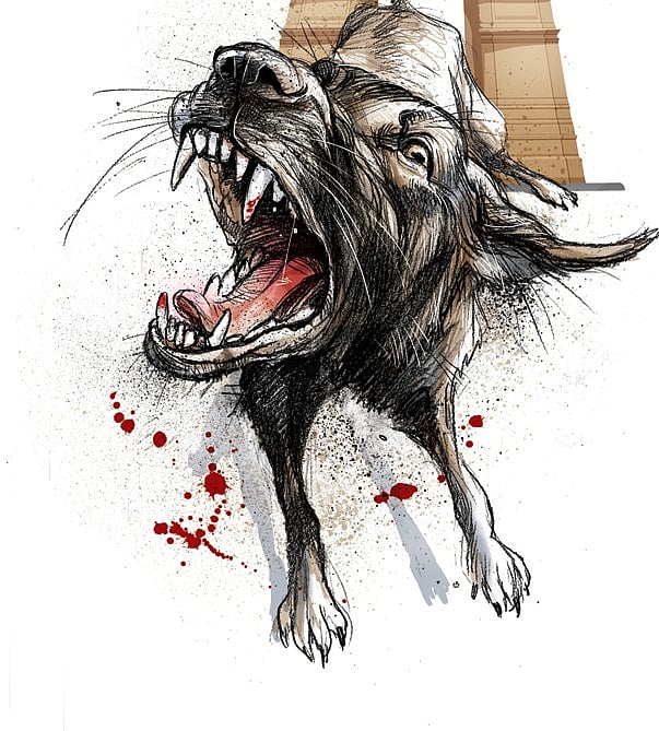 Thiruvananthapuram Corporation to adopt Chennai-model ABC centre for ...