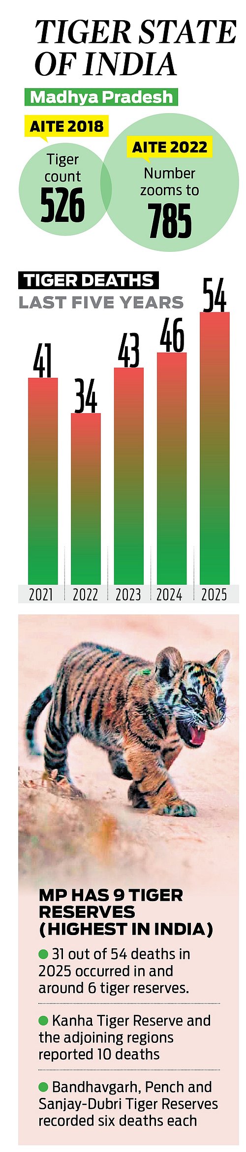 Not the year of the tiger for Madhya Pradesh