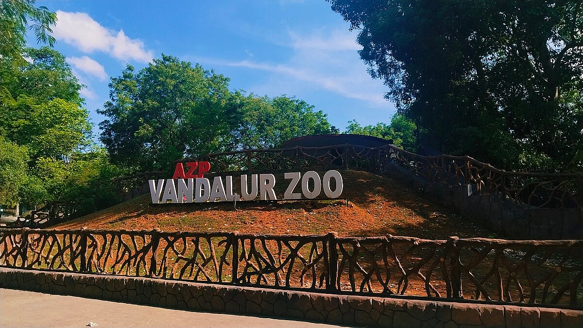 Vandalur zoo sees record footfall during half-yearly holidays