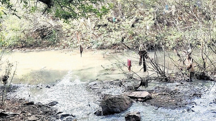 Kollur Sauparnika river pollution: NGT seeks report from Udupi DC, KUWSDB