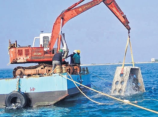 Vaan Island reef restoration yields Rs 62 crore in benefits: Study