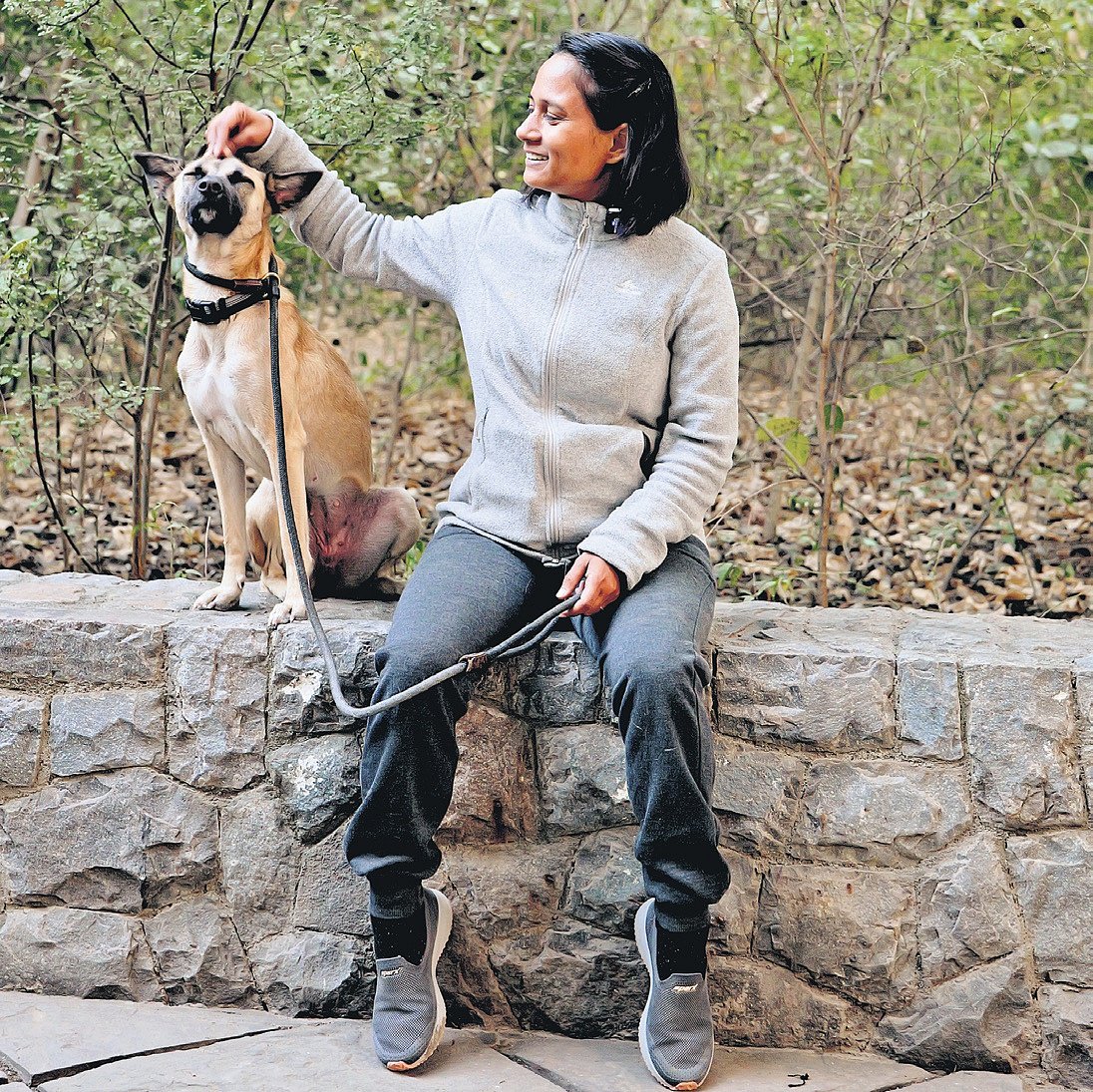 What are you dogged by?