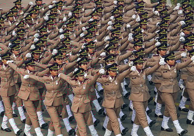 Study calls for policy overhaul to improve commanding officer roles for ...