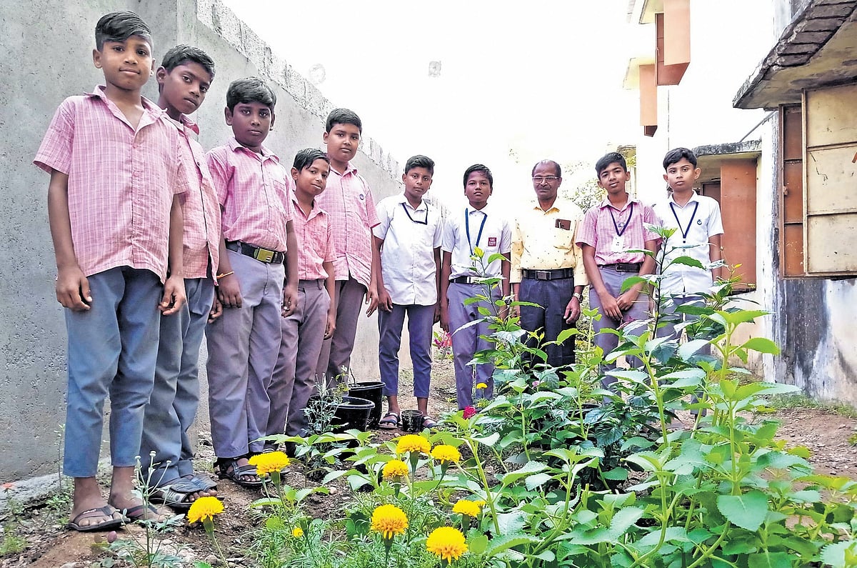 Fruits of labour, full of flavour for students at KSC Government School ...