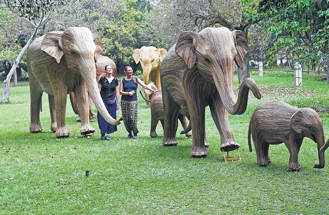 Mammoth task