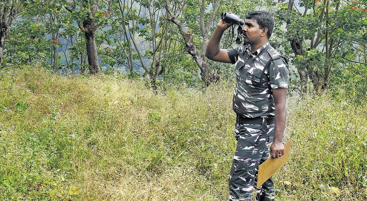 Tamil Nadu forest staff to now get Rs 4.5K per annum to stitch uniforms