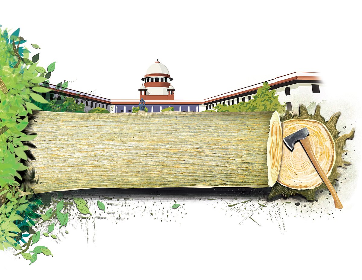 How Supreme Court saved forests from deletion