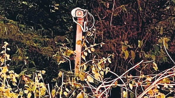 This artificial ‘Farm Guard’ can make sounds to keep jumbos at bay in Kovai