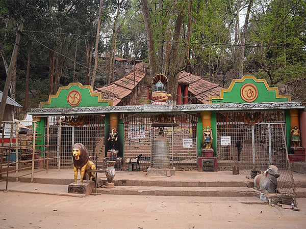 Biodiversity board to plan conservation of Gupteswar forest