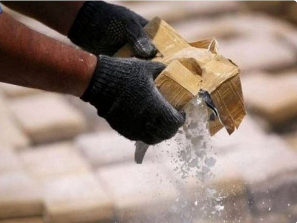 Odisha: Drug peddler held with 60 kg ganja