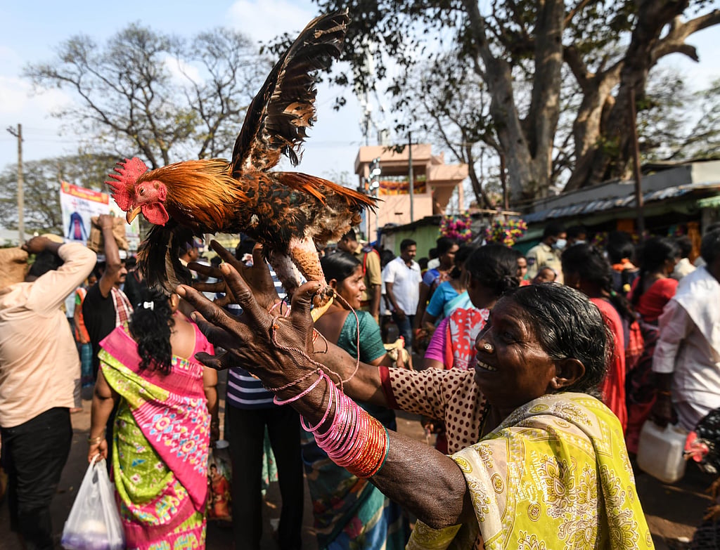 IN PICS | Medaram Jatara: Devotees offer prayers to tribal deities of ...