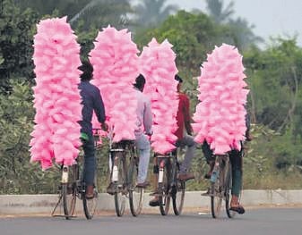 Amid a swirl of activity, Kerala prepares to ban cotton candy