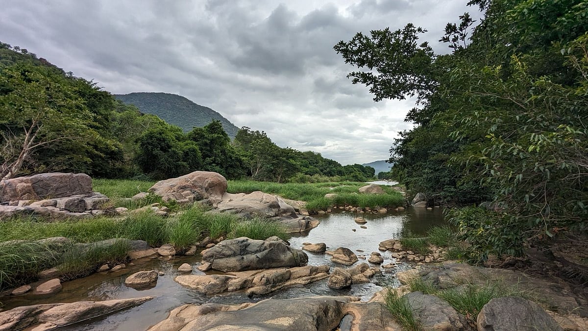 Charred human skeletal remains found in TN's Bargur hills