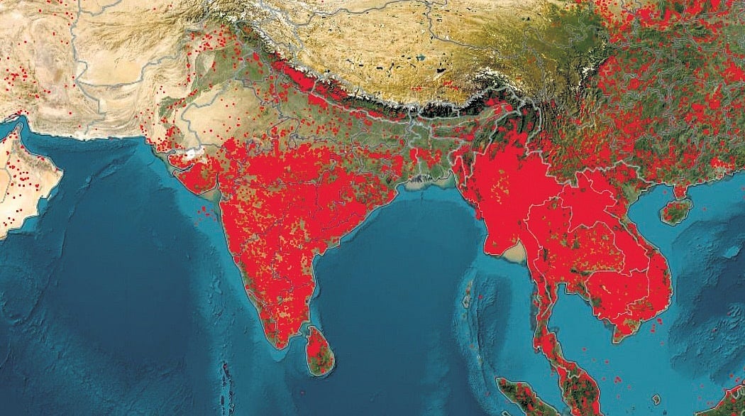 Forest fires rage across the country at 600-plus points as mercury ...