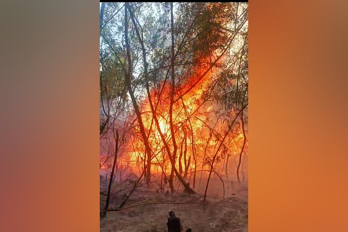 Fire rages for fourth day in Coonoor; IAF help may be sought