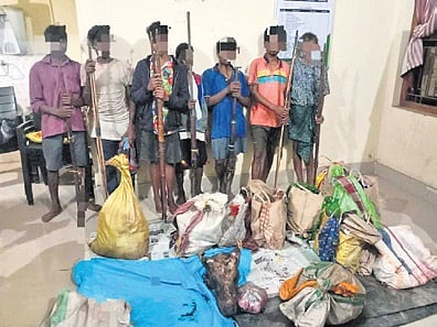 9 poachers held with firearms, sambar meat in Odisha's Similipal