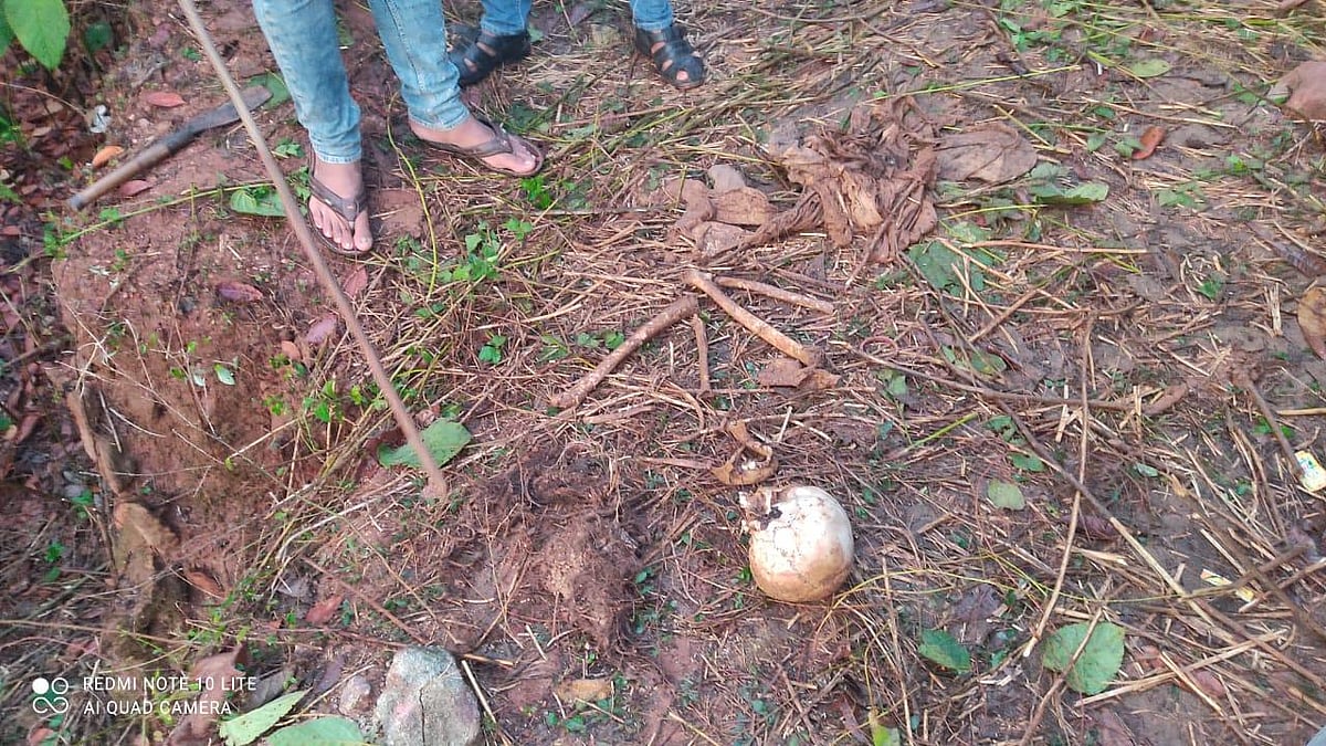 Human skull, bones found at Banki cashew plantation in Odisha