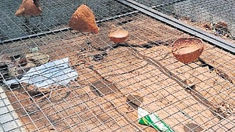 Food, flower waste turns into compost in Bengaluru's Banashankari Temple