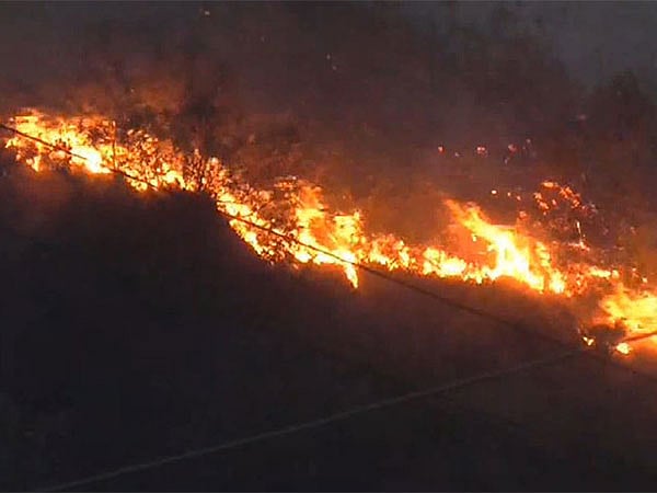 Odisha: 1,400 forest fire points detected in 24 hours