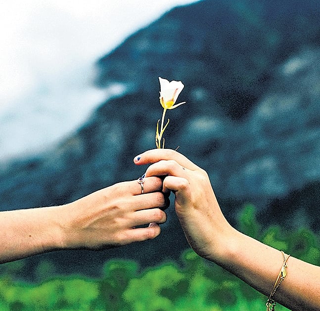 The beauty of giving