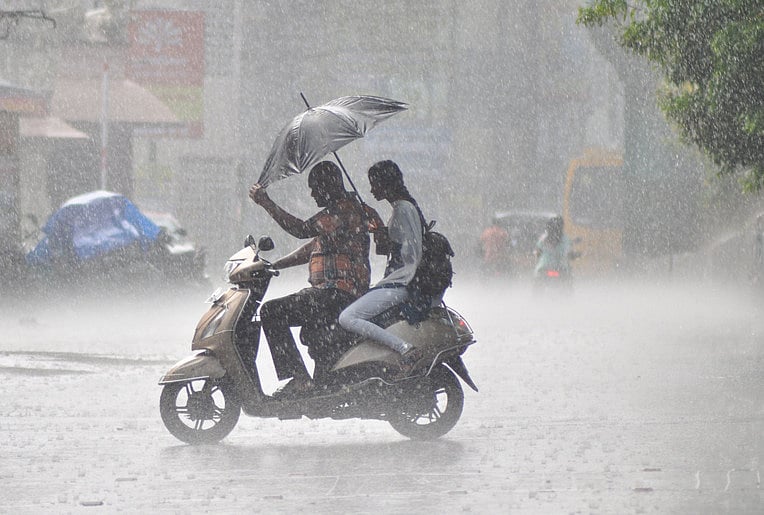 Rain brings relief from forest fires in Coimbatore