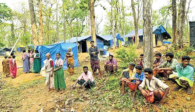 Kerala: Displaced tribal families await land allocation amid rising ...