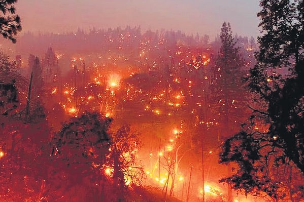 With 985 forest fires, Andhra Pradesh stands top