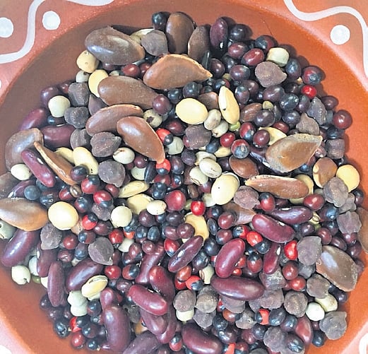 Communication lessons in a bowl of mixed seeds