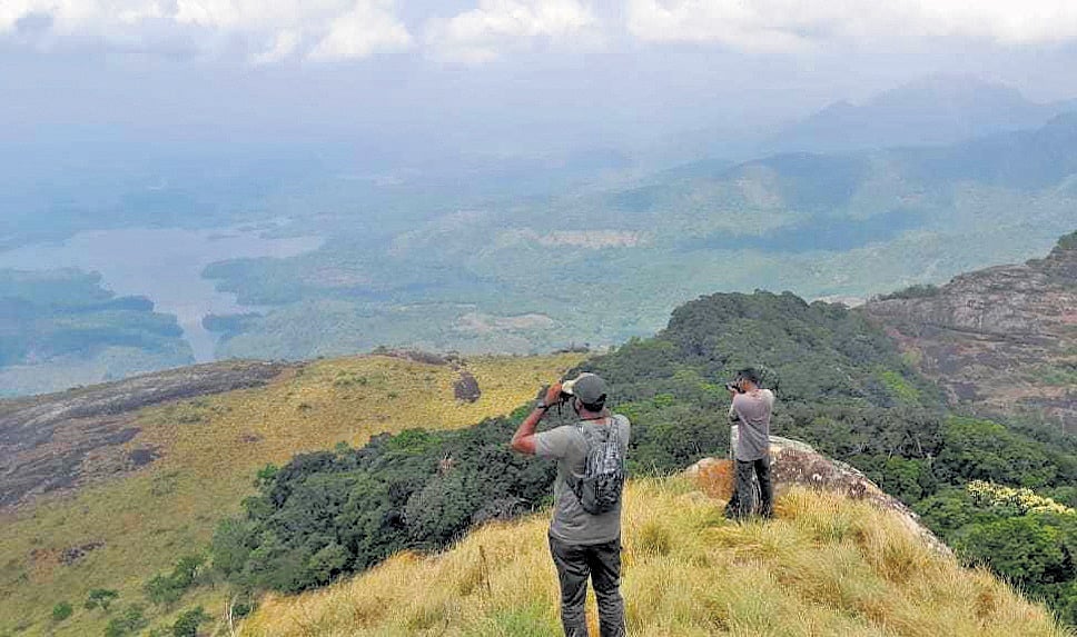 District administration gears up to raze more illegal homestays in Nilgiris