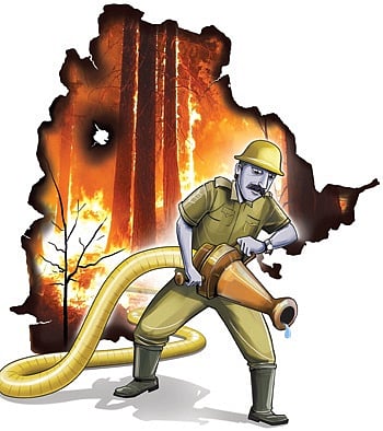 Odisha: Forest department to deploy ODRAF units in sensitive divisions ...