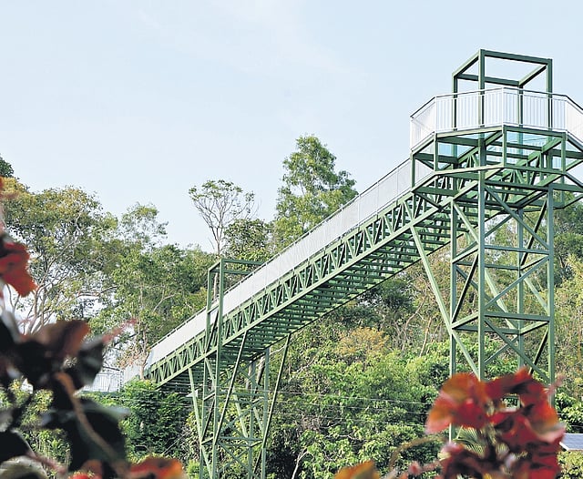 Kerala: Safety concerns prompt further check of Akkulam Glass Bridge
