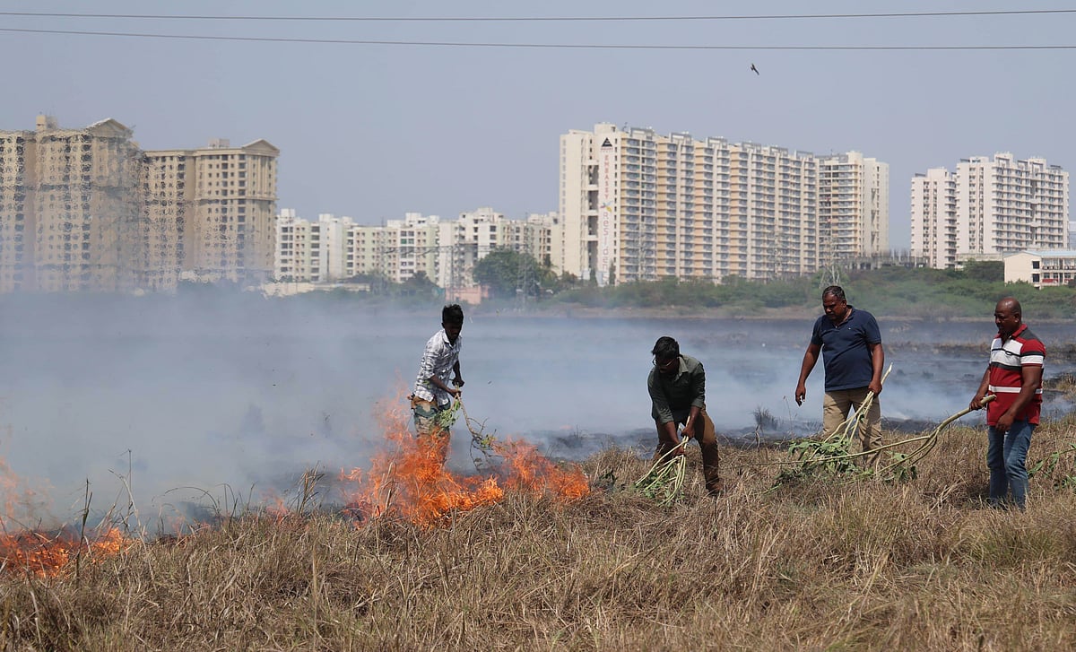 Five hectares gutted as ‘man-made’ fire sweeps Perumbakkam marshland in ...