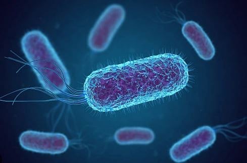 Health scare in high-end Kochi apartment; E-coli suspected as 300 ...