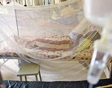 VIMSAR study reveals low use of mosquito nets in Odisha's Burla